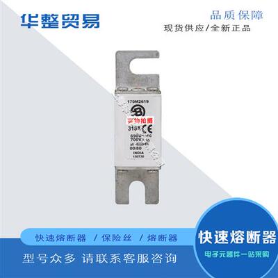 巴斯曼熔断器保险丝全新原装正品 170M2616 170M2617