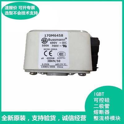 美国Bussmann170M6458 170M6459快速熔断器保险丝