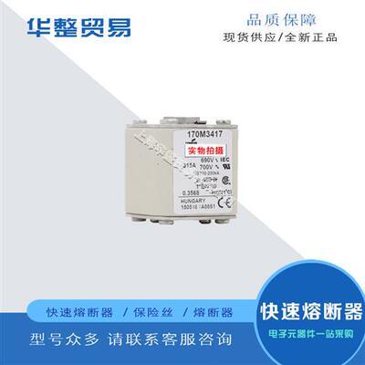 巴斯曼快速熔断器170M3412 170M3413 170M3414 170M3415
