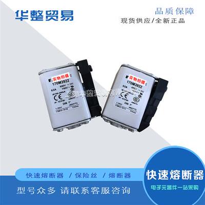 巴斯曼快速熔断器170M3926 170M3927 170M3928 170M3929 170M3930