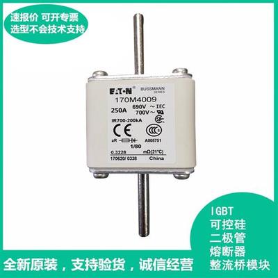 巴斯曼 170M4018 快速熔断器 极速发货 现货可直拍