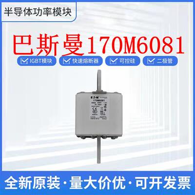 170M6081 170M6083 170M6085 170M6087 巴斯曼熔断器保险丝