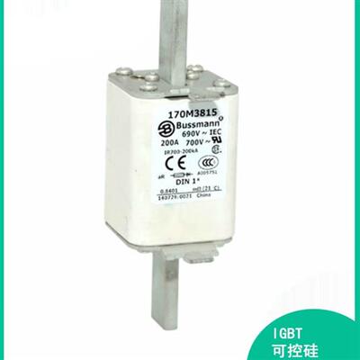 170M2658 /2659/2660/2661/2662/2663/2664巴斯曼熔断器/ 保险丝