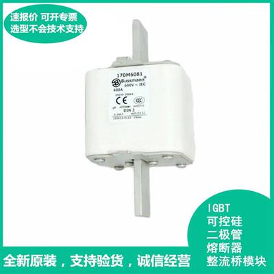 供应170M6138 170M6142 170M6140 170M6144 6145 6146低压熔断器