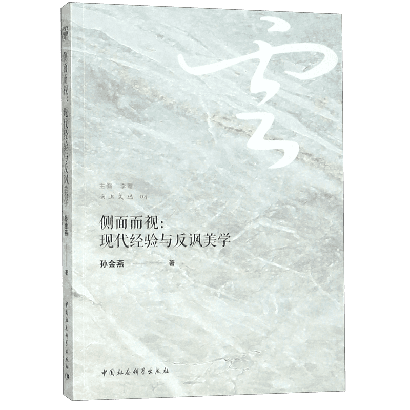 侧面而视--现代经验与反讽美学/云上文丛 博库网