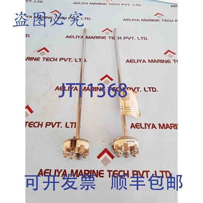 原装供应Ametek 2xPT100 电阻温度计 618875-002 631209-004 高 4