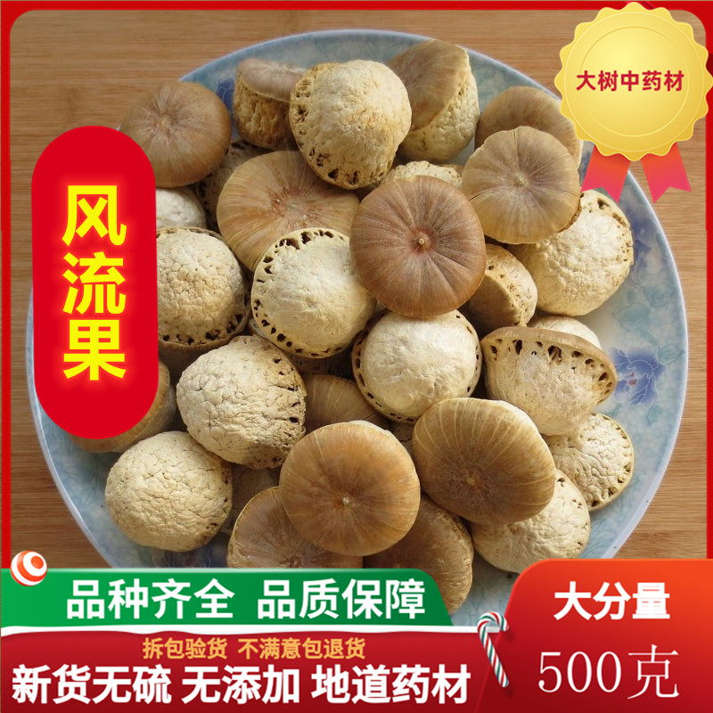 风流果野生龟头子大果天竺粒广西特级果厚鳞柯泡酒