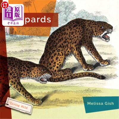 海外直订Leopards 豹子