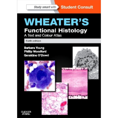 Wheater功能组织学第6版英文原版