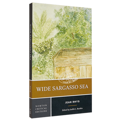 现货 Norton Critical Editions Wide Sargasso Sea 英文原版 梦回藻海 诺顿文学解读系列 Jean Rhys【中商原版】