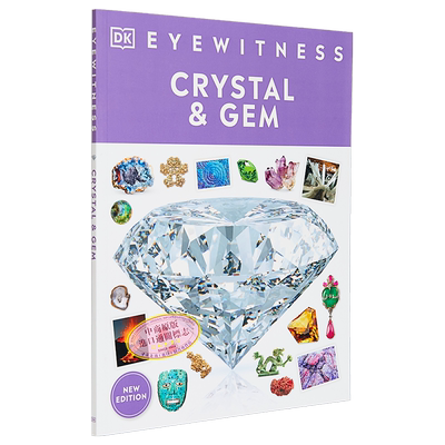 DK英文原版Eyewitness系列