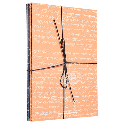 现货 女性名家笔记本套装 手稿封面 英文原版 Jane Austen Ada Lovelace Mary Shelley Handwriting Notebook Set 【中商原版】