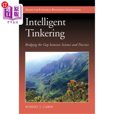 海外直订Intelligent Tinkering: Bridging the Gap Between Science and Practice 智能修补:弥合科学与实践之间的鸿沟