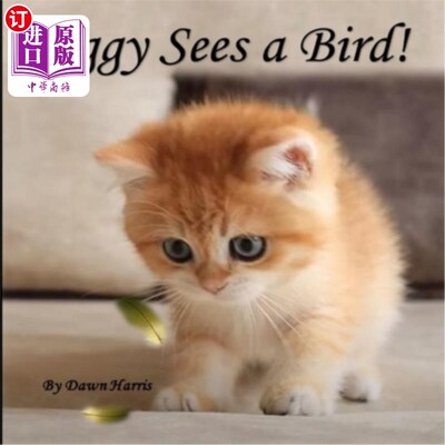 海外直订Tiggy Sees a Bird! Tiggy看到了一只鸟!