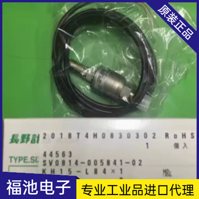 NKS长野计器NAGOKEI压力