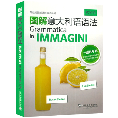 图解意大利语语法 托马迪编著外教社图解外语语法 意大利语语法自学学习书籍意大利语语法天天学上海外语教育出版社 9787544656139