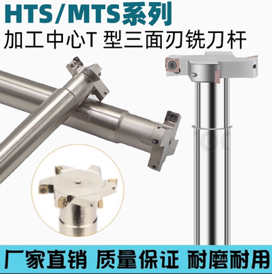 T型铣刀杆HTS/MTS-16/18/20/25/30/32/35/40/45/50/55/60-H6-C12