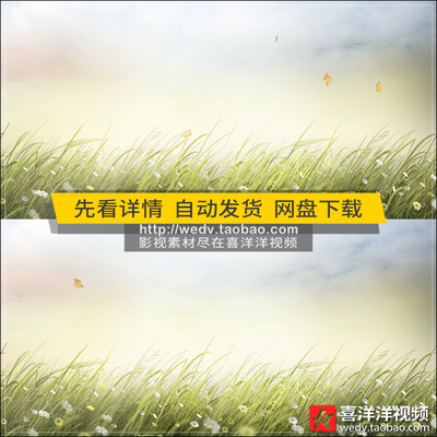 C094唯美清新花丛小花草丛落叶温暖柔和高清晚会LED背景视频素材