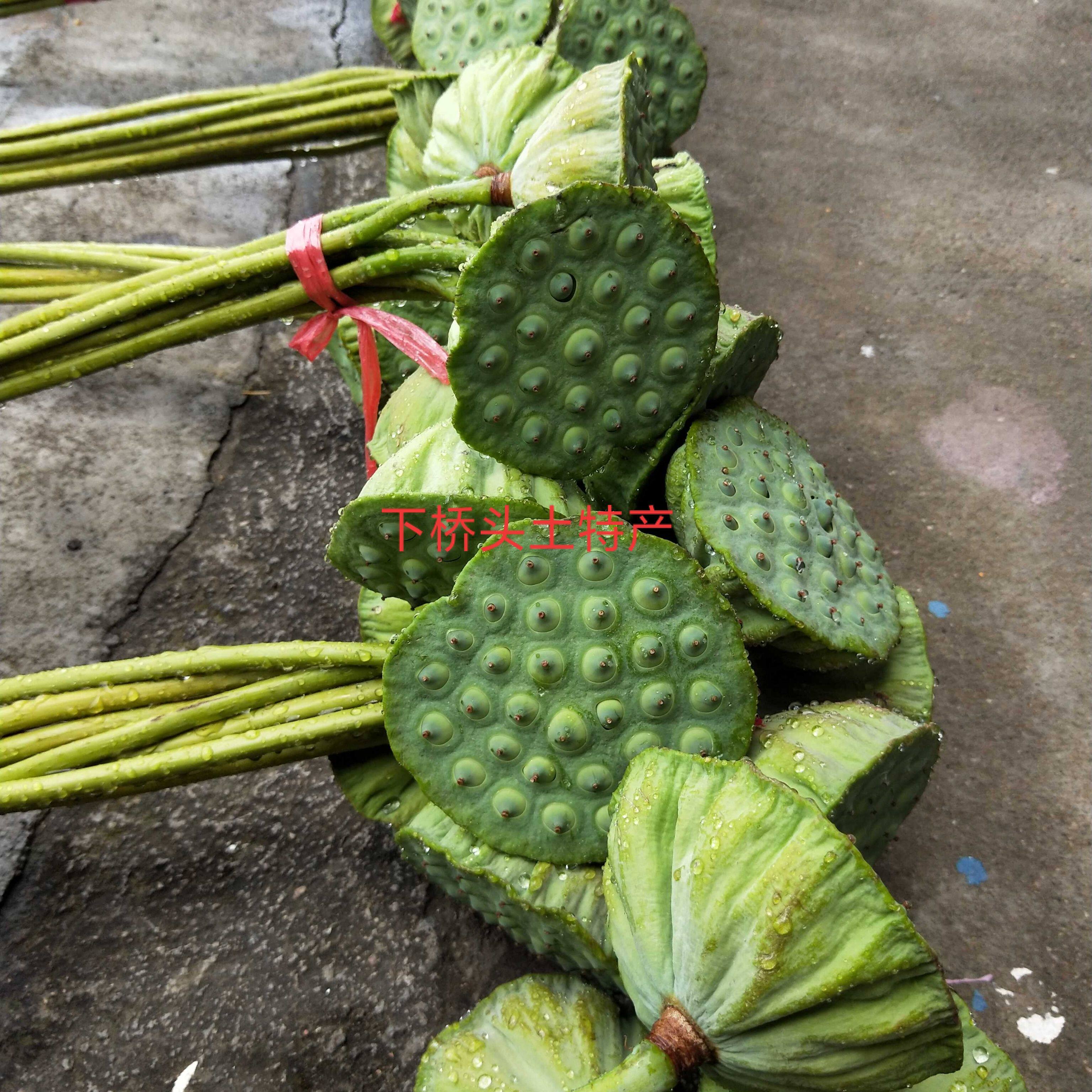 武义宣莲新鲜莲子莲蓬生吃现摘野生当季时令水果甜嫩莲子20朵包邮