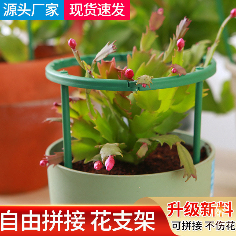兰花支架防倒架爬藤架园艺用品花卉植物支撑杆花架支柱