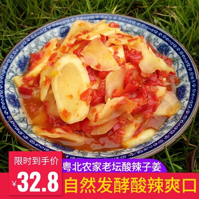 2026年新鲜子姜辣椒农家自制酸辣子姜下饭菜开胃菜广东韶关特产