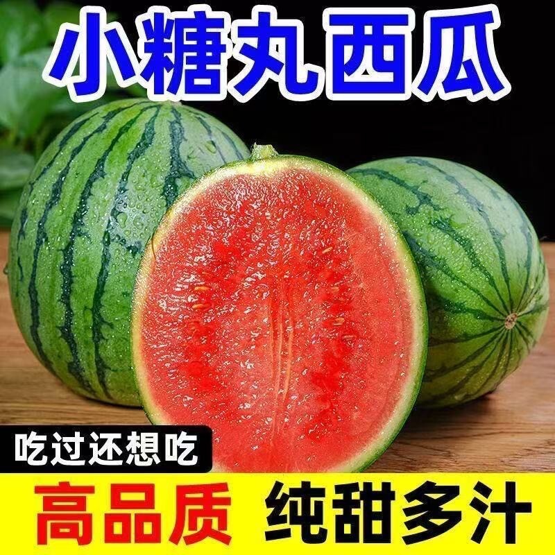 顺丰 正宗山东小糖丸6斤西瓜新鲜水果当应季冰糖西瓜甜瓜多汁包邮