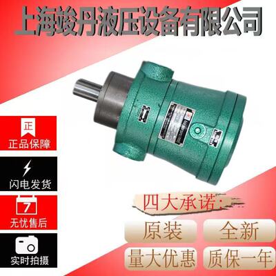 柱塞泵上海竣丹厂家直销