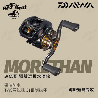 DAIWA达亿瓦猫赞MORETHAN PE水滴轮翘嘴海鲈远投路亚渔轮
