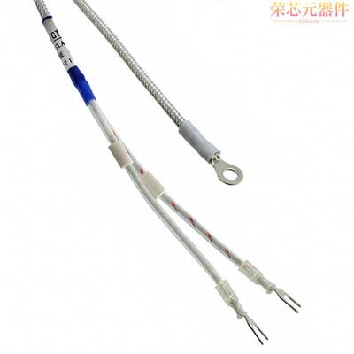 E52-CA1GTY 1M原装「TEMPERATURE SENSOR」正品