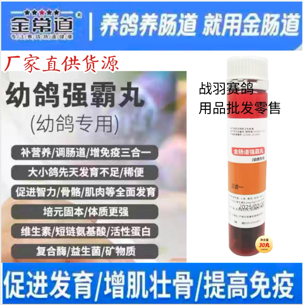 金肠道强霸丸 幼鸽专用 鸽子营养品