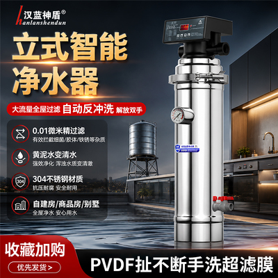 智能反冲洗全屋净水器免拆洗