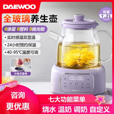 烧水壶隔水炖炖煮蒸煮茶器养生壶