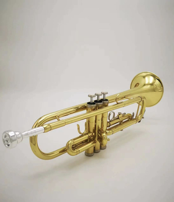 【ROYALL】Royal Tp-200 小号