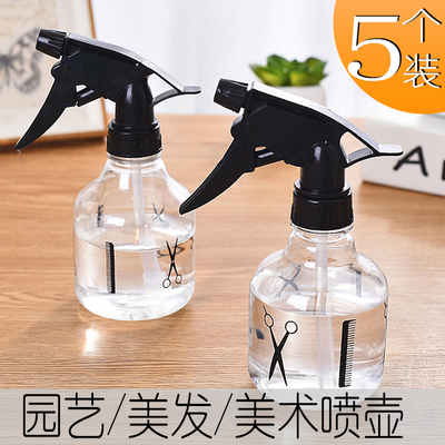 浇花250ml透明化妆按压式喷雾壶