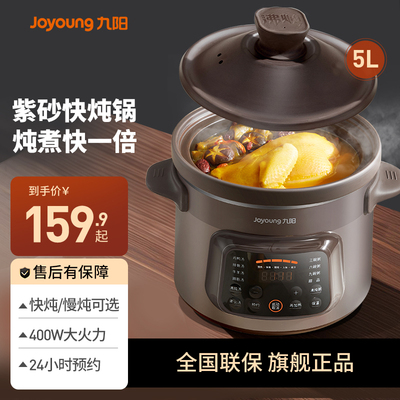 九阳电炖锅煲汤锅砂锅家用