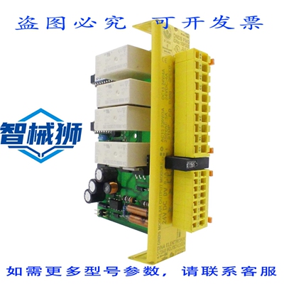 现货供应 DINA ELEKTRONIK DNDS PMG 10PG00 PLC 卡
