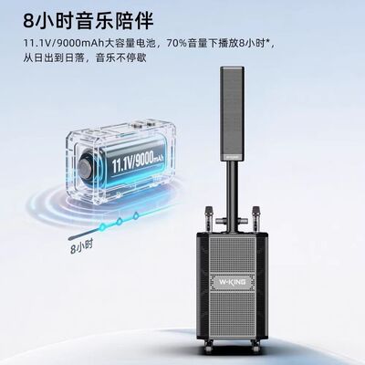 维尔晶K22大功率舞台演艺音箱 户外广场唱歌直播蓝牙音响