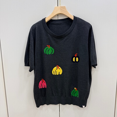 87360欧洲站26春时尚圆领宽松显瘦南瓜图案减龄天丝针织短袖上衣