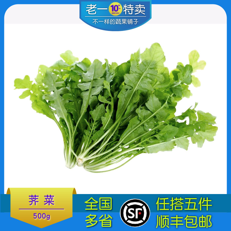新鲜荠菜饺子蔬菜馅料水洗湿的