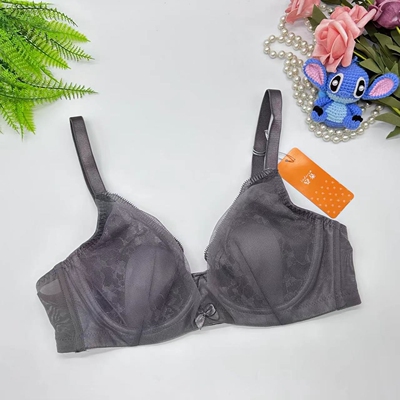 安莉芳性感有钢圈大胸显小薄款