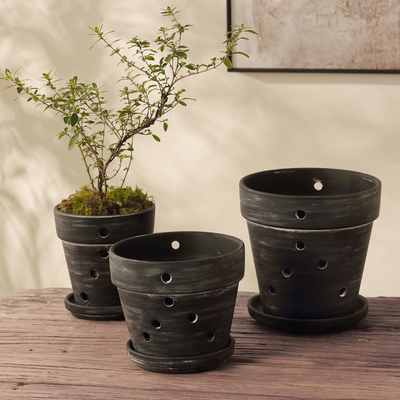 侘寂风黑色多孔花盆蝴蝶兰花盆器庭院阳台绿植物透气粗陶盆带托盘