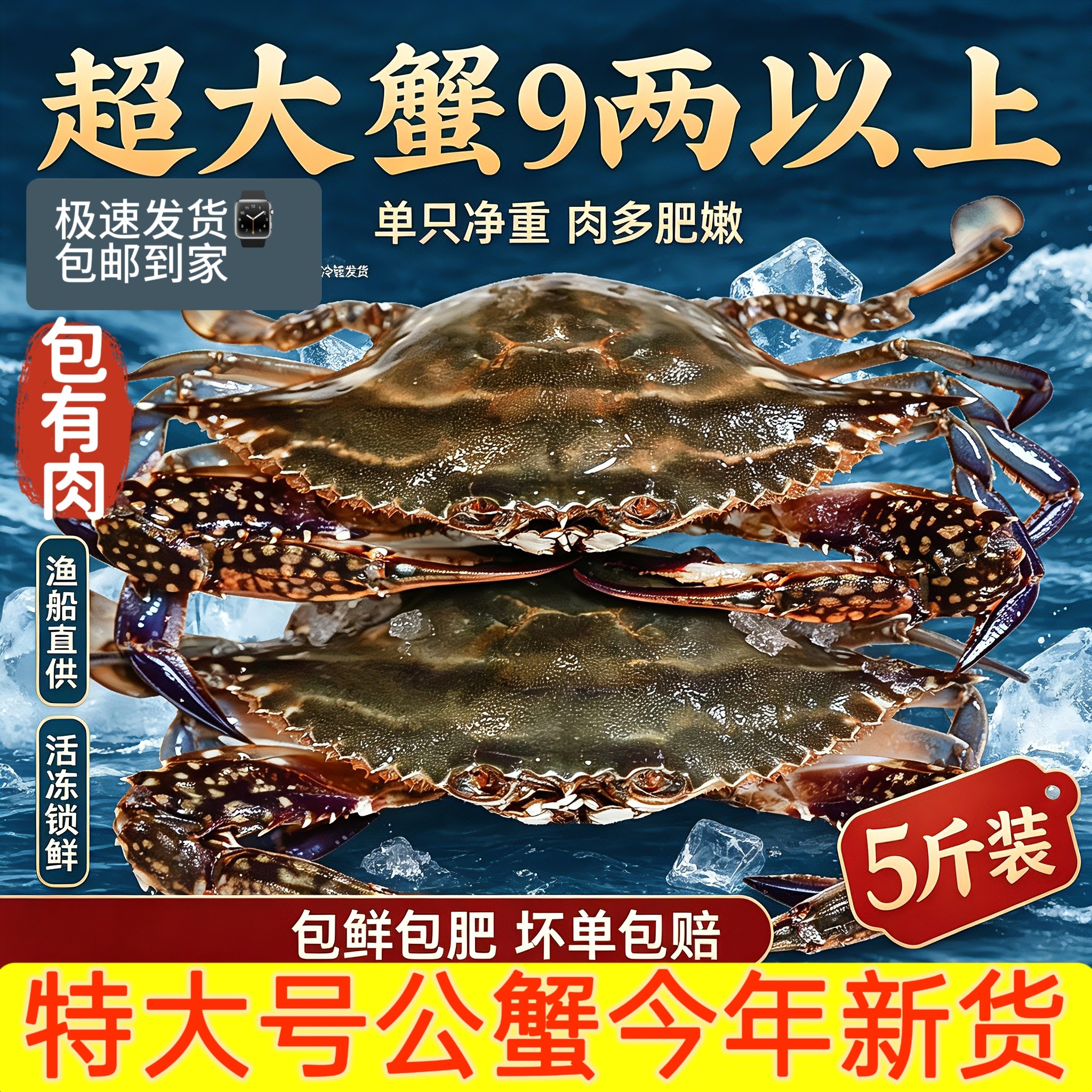 冻蟹梭子蟹净重7斤特大野生梭子蟹公蟹白蟹海鲜香辣蟹保鲜不包活