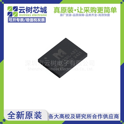 原装正品 MKDV2GIL-AST LGA-8 2Gbit NAND FLASH存储器