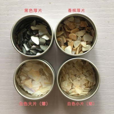 幻彩美甲盒装贝壳片