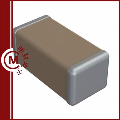 2215YA250821GCTSP/2215YA250821GCRSPU/2215YA250821JCRSPU