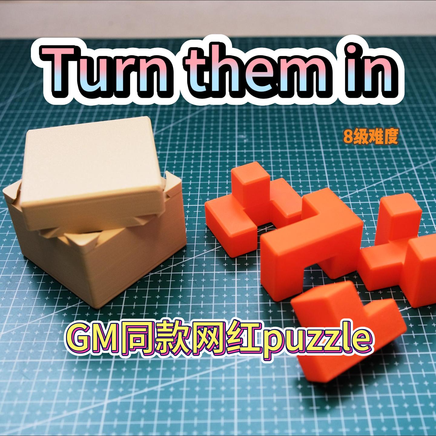 GM同款网红puzzle装盒挑战turn them in 8级难度益智玩具旋转谜语