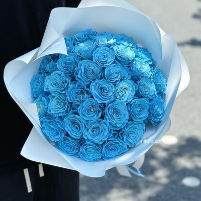厄瓜多尔进口蓝玫瑰花束生日鲜花