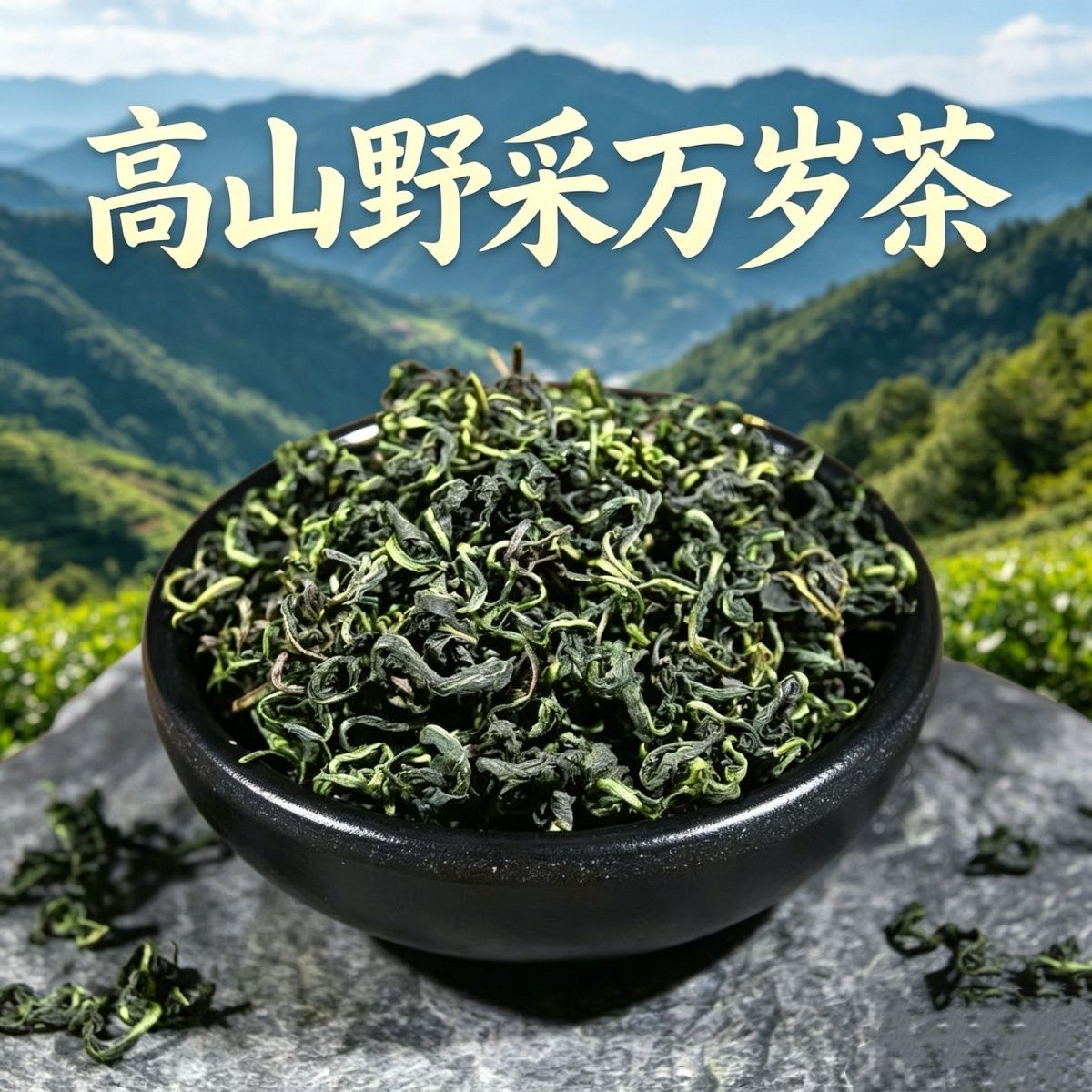 【万岁茶500克/袋】云南深山直采万岁茶泡水可搭配枸杞陈皮