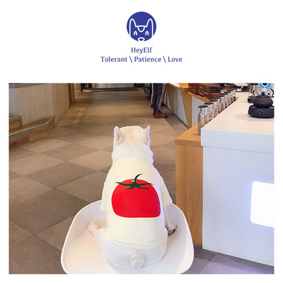 秋冬款可爱狗狗雪纳瑞法斗卫衣