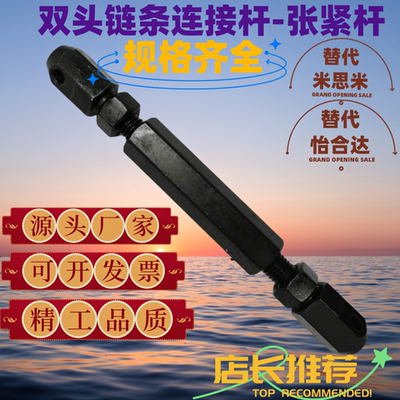 链条连接杆组件VSR01/VSR21双头STRT/LSTRT-15/25/35/40/50/60/80